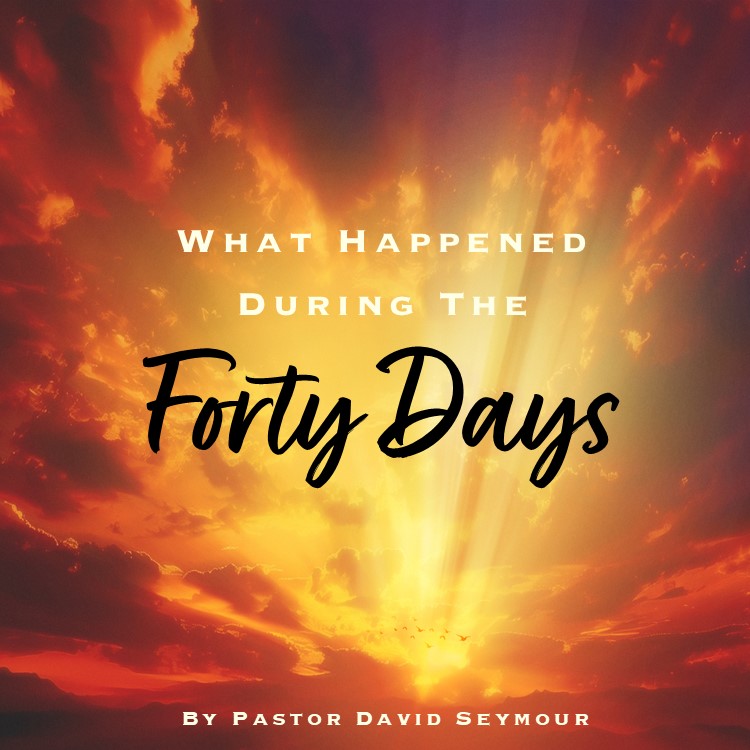 What Happened During The Forty Days series